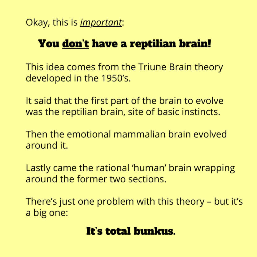 You Don't Have A Reptilian Brain - HigherMindfulness.com